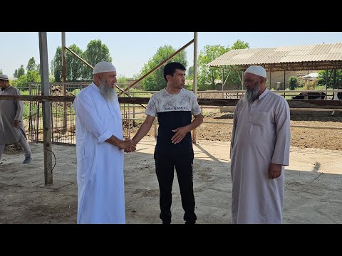 SOLIHON DOMLA 🇺🇿 MUSOFIRCHILIKDA YURGAN BRODARLARIMIZNI XAQQIGA DUO QILDILAR. ☎️958880555🤲