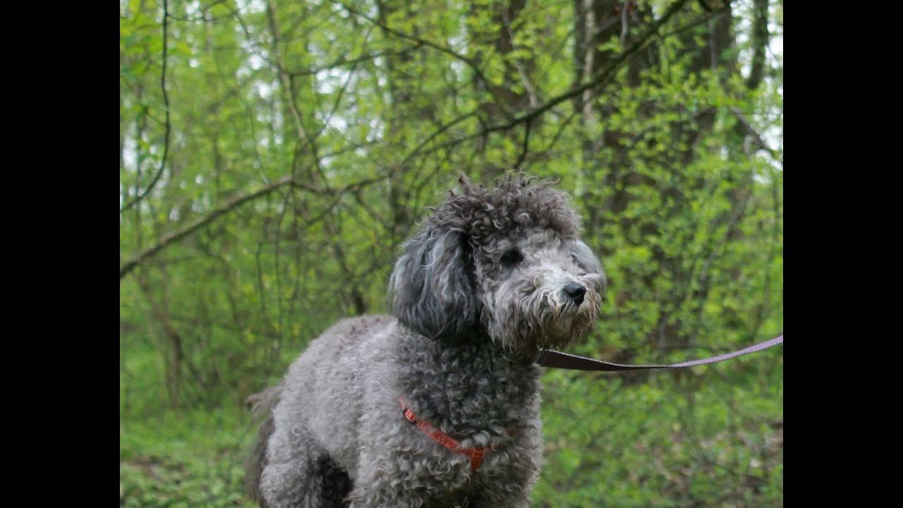 How to - "Beg" - YouTube