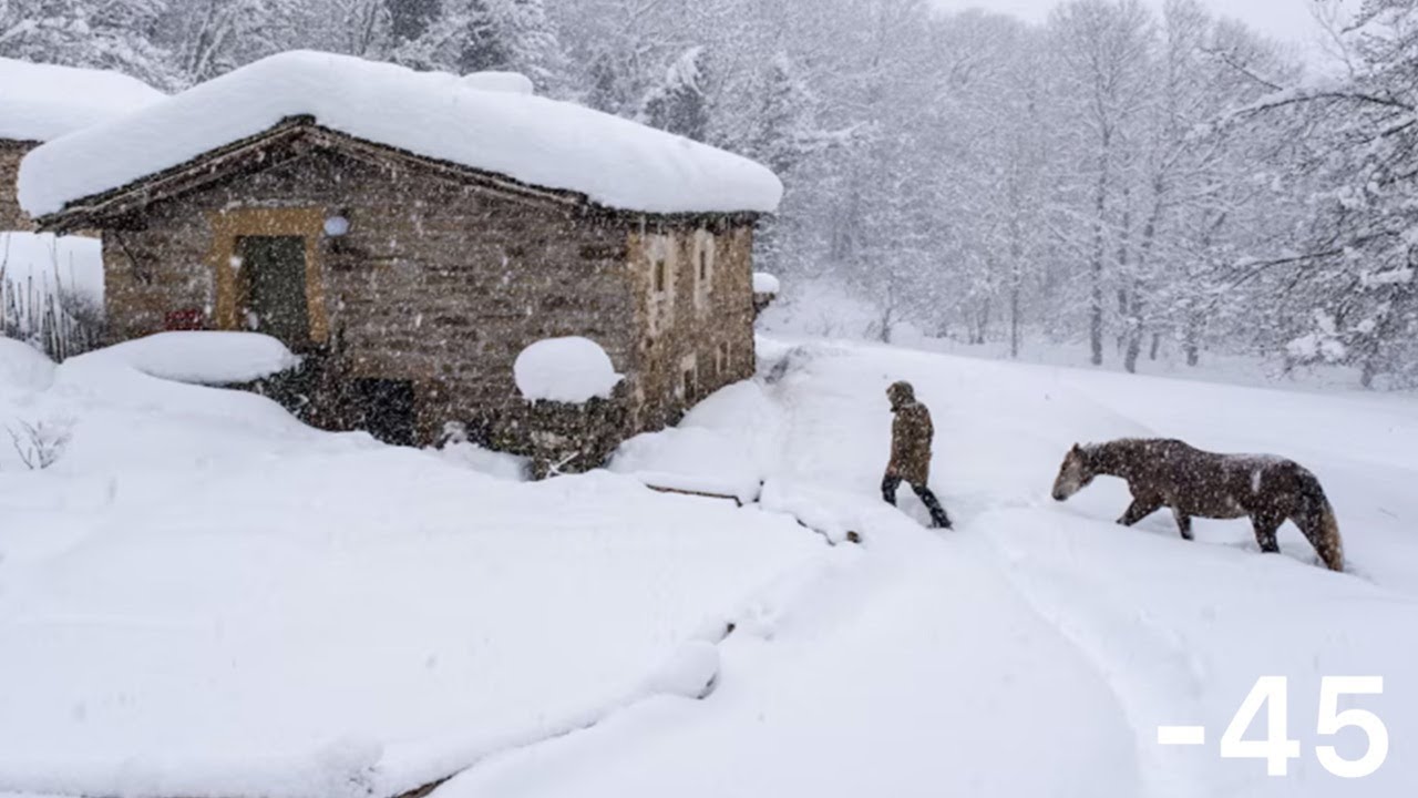 Extreme winter snow storm -45° Snowstorm and wolves, I'm hiding in a ...