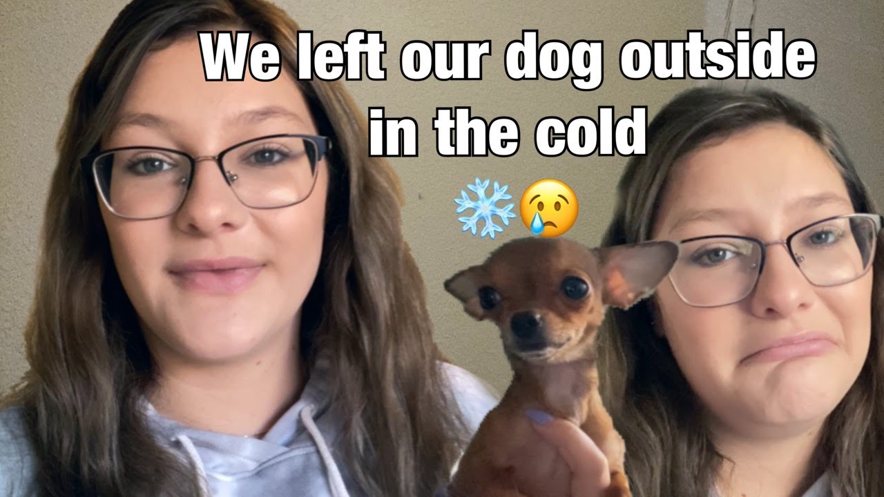 I'M BACK | FIRST VLOG | Brooke Yeager - YouTube