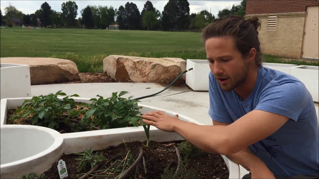 Using Your Integrated Irrigation System - YouTube