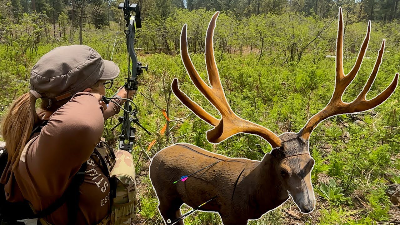 3D Archery Shoot, Clints Well Arizona | Huntin Hard Archers - YouTube