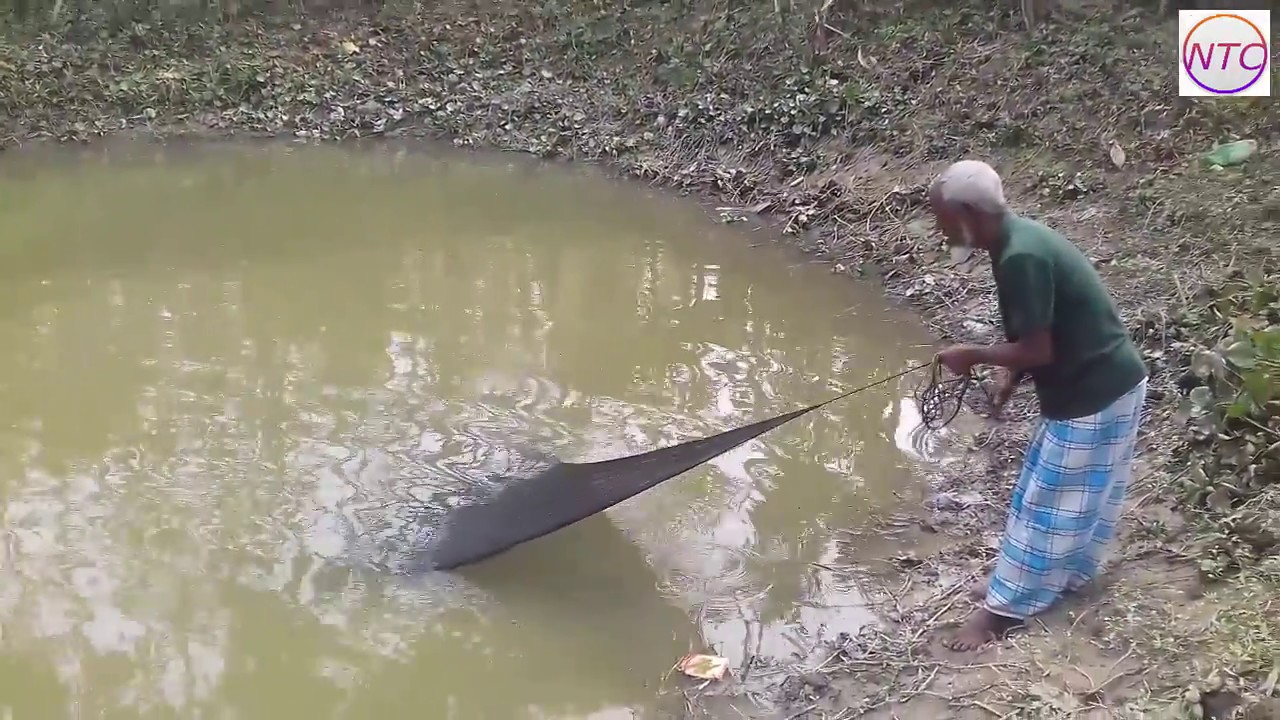 Amazing Old Man Fishing How To Catch Fish Using Cast Net In Cambodia ...
