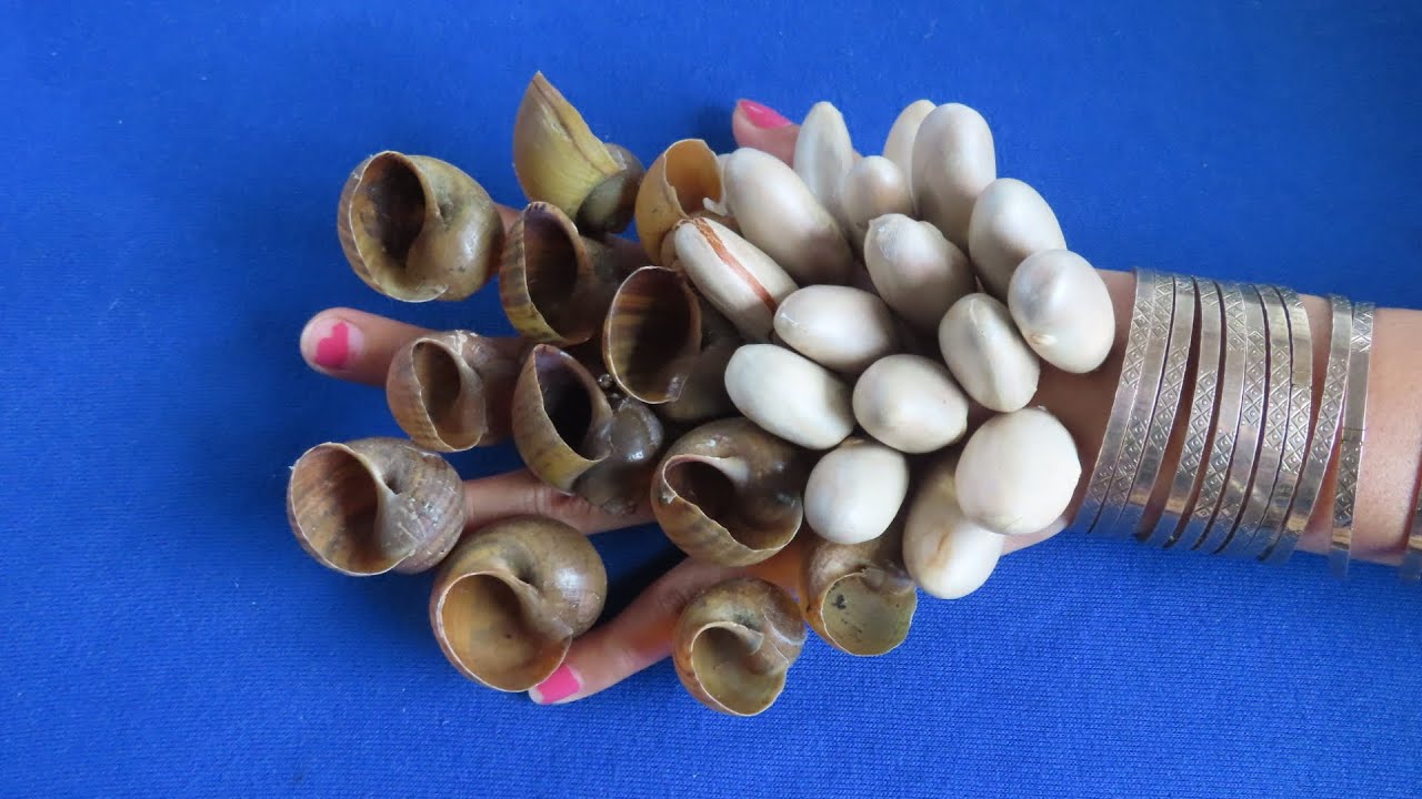 Wow, Interesting to remove giant ticks style on hand | Designed from ...