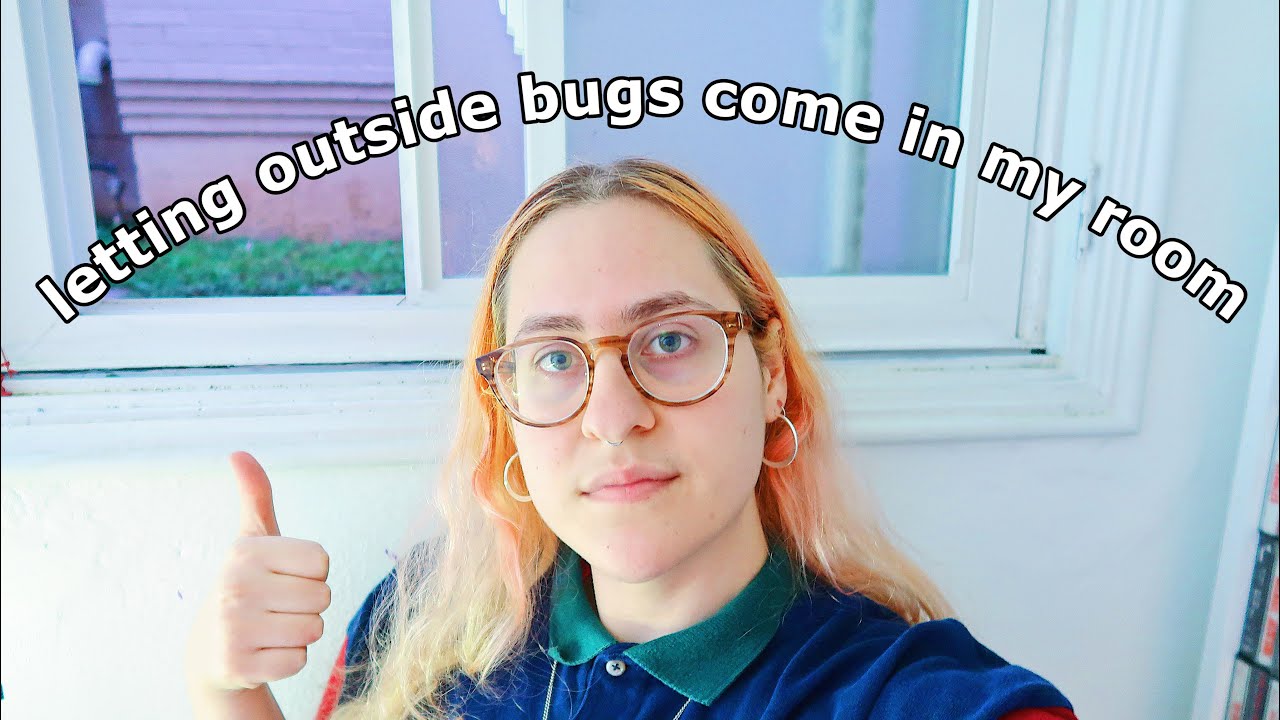 letting bugs come inside my house - YouTube