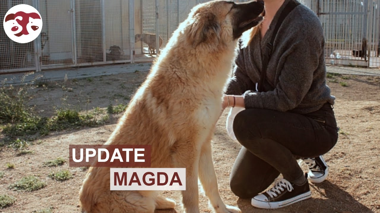 Magda Update September - YouTube
