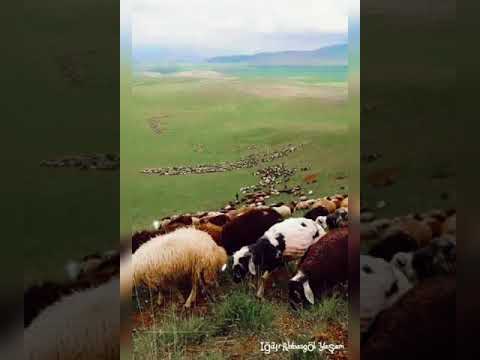 Dengbêj Keremê patnosê(eman eman rezilo dîlo) (spasi jîboyê kekê Mehmet tutar)