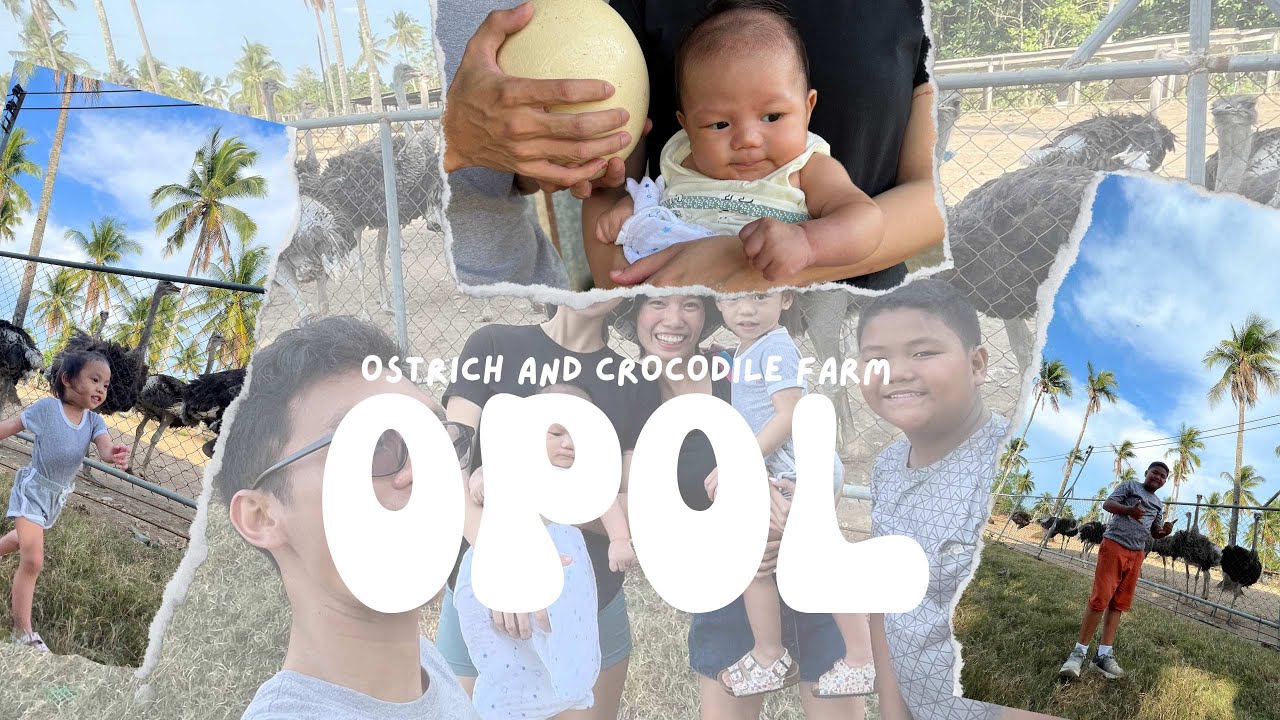 OSTRICH AND CROCODILE FARM | OPOL, PH - YouTube