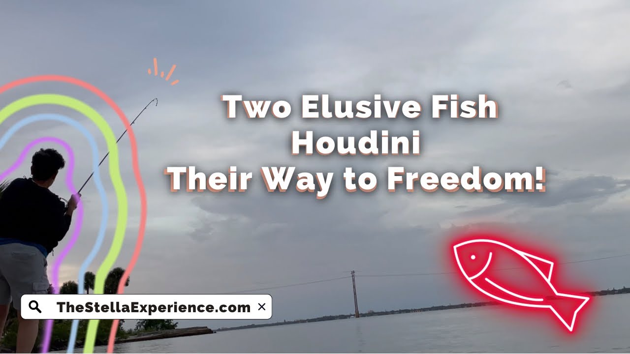 Two Elusive Fish Houdini Their Way to Freedom: Local Anglers Left in ...
