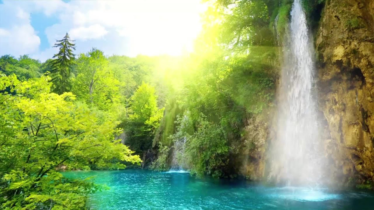 Relaxing Piano Music With Stream💗 Beautiful Piano Music by Soothing ...