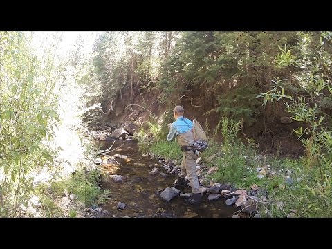 Goose Lake Basin Redband Trout Fly Fishing - YouTube