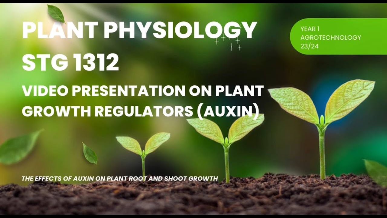 STG 1312 Plant Physiology Hands-on Video Presentation on Plant Hormones ...