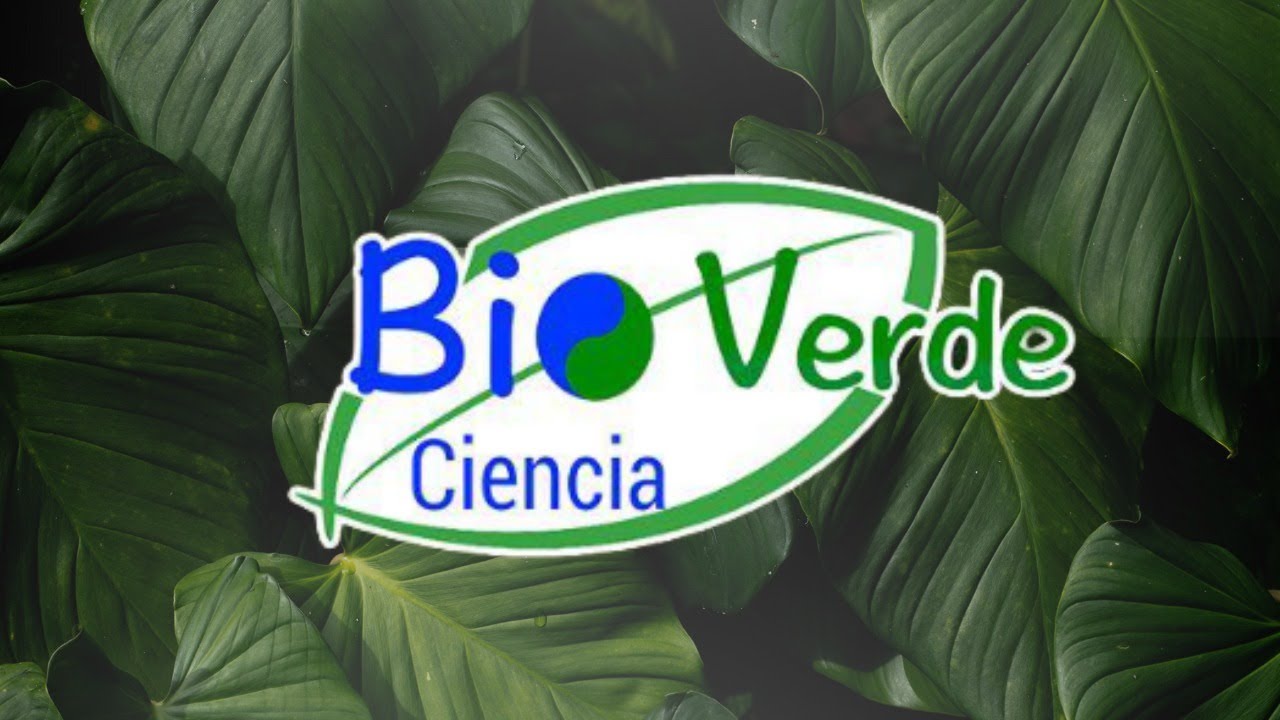 EN VIVO |Forjadores del Futuro: La Investigación Universitaria - Bio ...