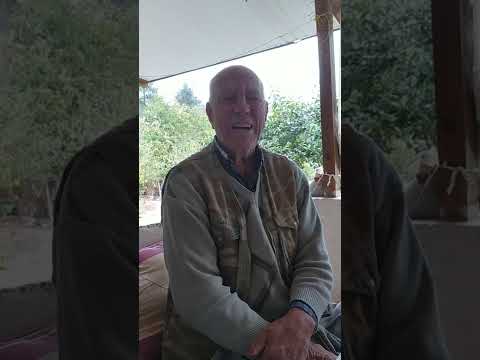 NACİ ŞAHİN DAHLAR İLE TAŞLAR İLE GAZAL