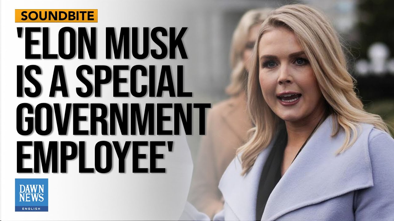 Journalist Presses White House Spox On The Role Of Elon Musk In Trump ...