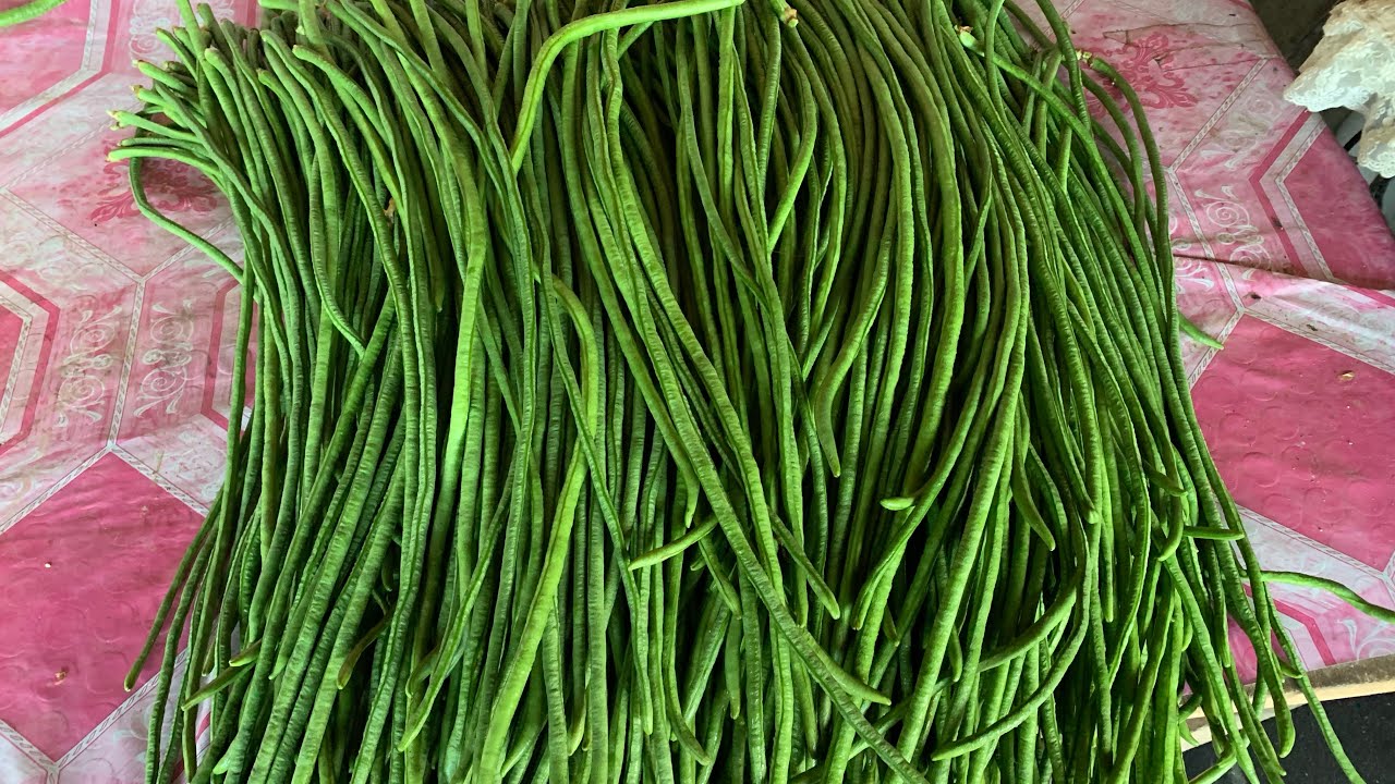 Pangalawang harvest ng sitaw (Makisig) - YouTube