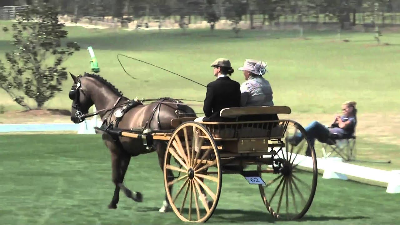 Robin Groves cones Little Everglades Ranch CDE 2011 - YouTube