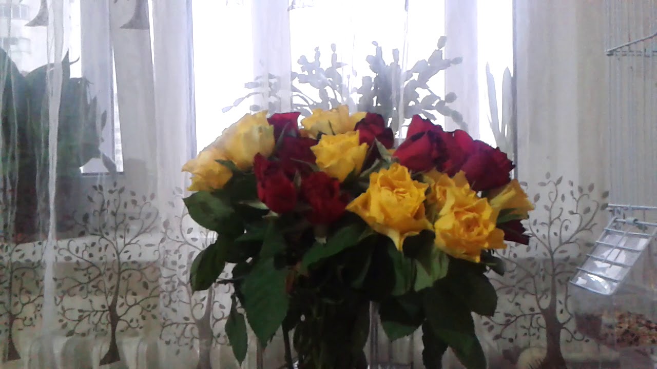 11 martie 2020 - YouTube