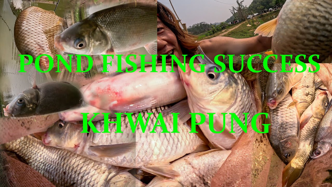 Pond Fishing Success || Khwai Pung || Umsning. - YouTube