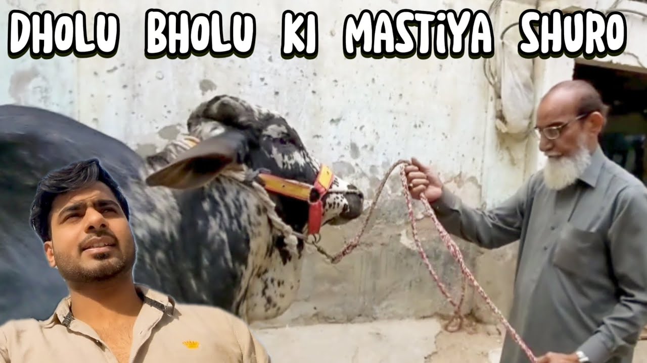 BHOLU BHOLU | KI MASTIYA SHURO 😜 | VLOG 82 | SK VLOGS 😈 - YouTube