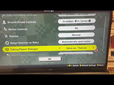 Super Mario Bros. Wonder Settings - YouTube