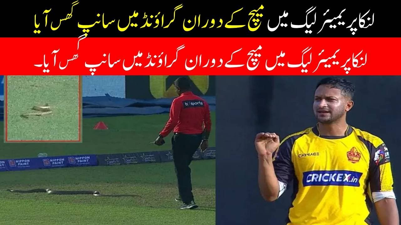 A snake entered the ground during a match in the Lankan Premier League ...