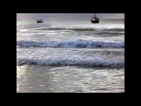 David Hasert & ADA (DAMH) - Seebestattung