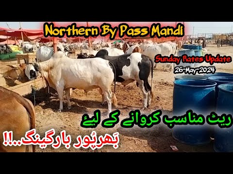 Northern Bypass Mandi || Rate Munasib Karway K liye Bargaining ...