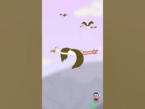 Bird fly animation - YouTube