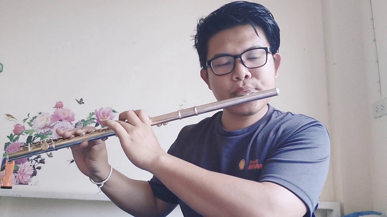 All Is Found - Kacey Musgraves Version | flute cover #Frosen2 # ...