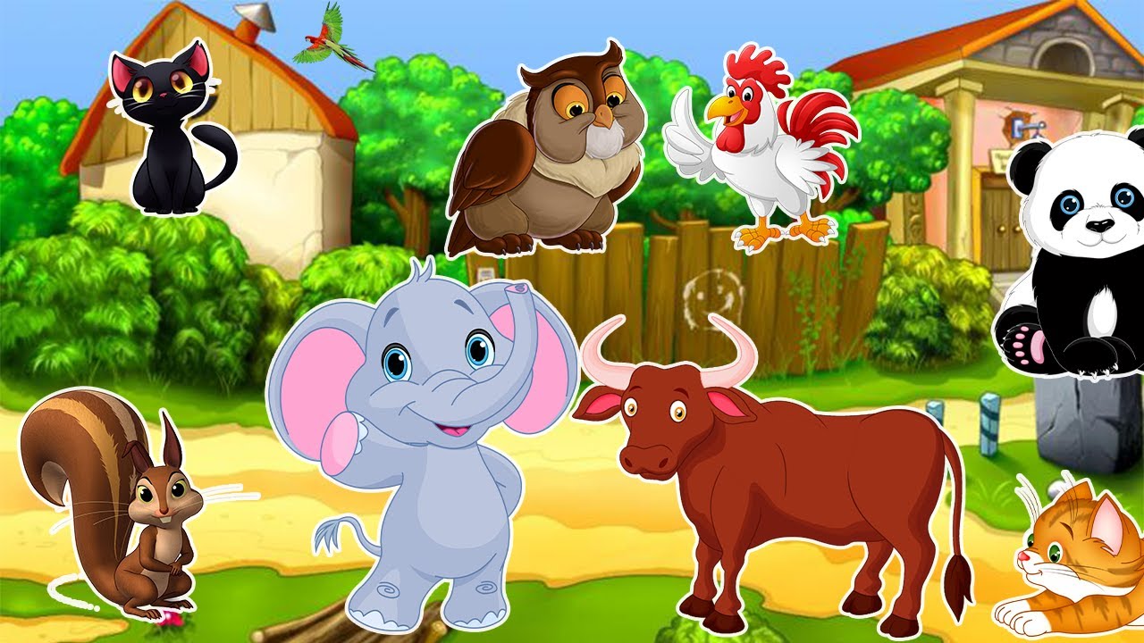 Animal Videos Funny | Animal Fight Videos | Wild Animals | Pet Animals ...