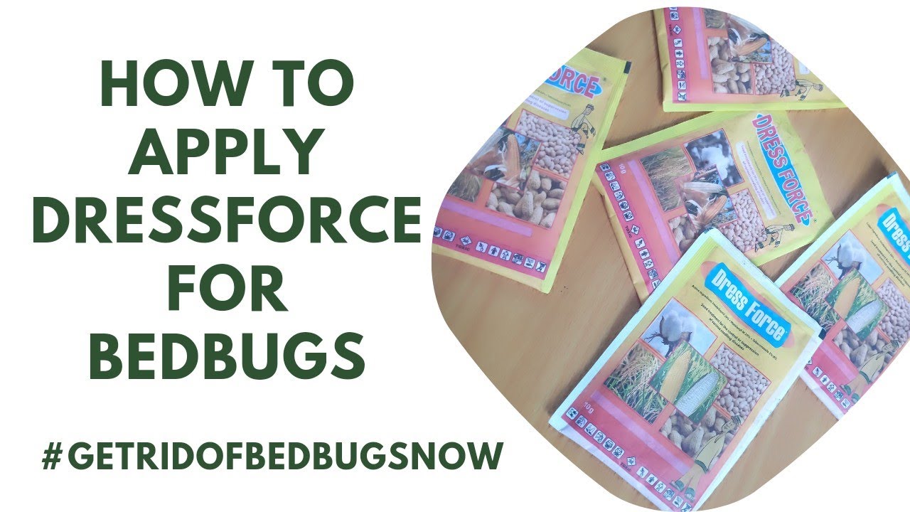 HOW TO APPLY DRESS FORCE IN HOMES / HOW TO USE DRESSFORCE/ GET RID OF ...