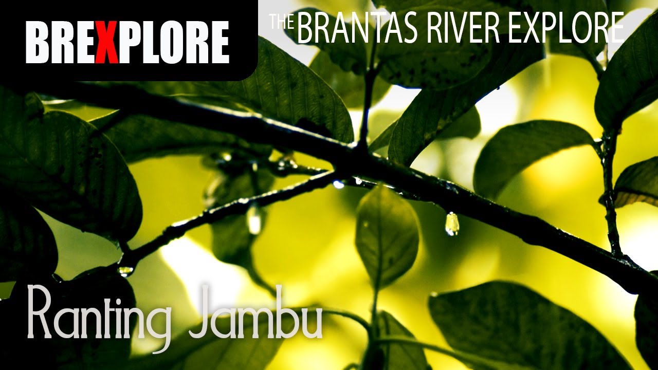 Ranting Jambu Hujan Tengah Hari I Brantas River Explore - YouTube