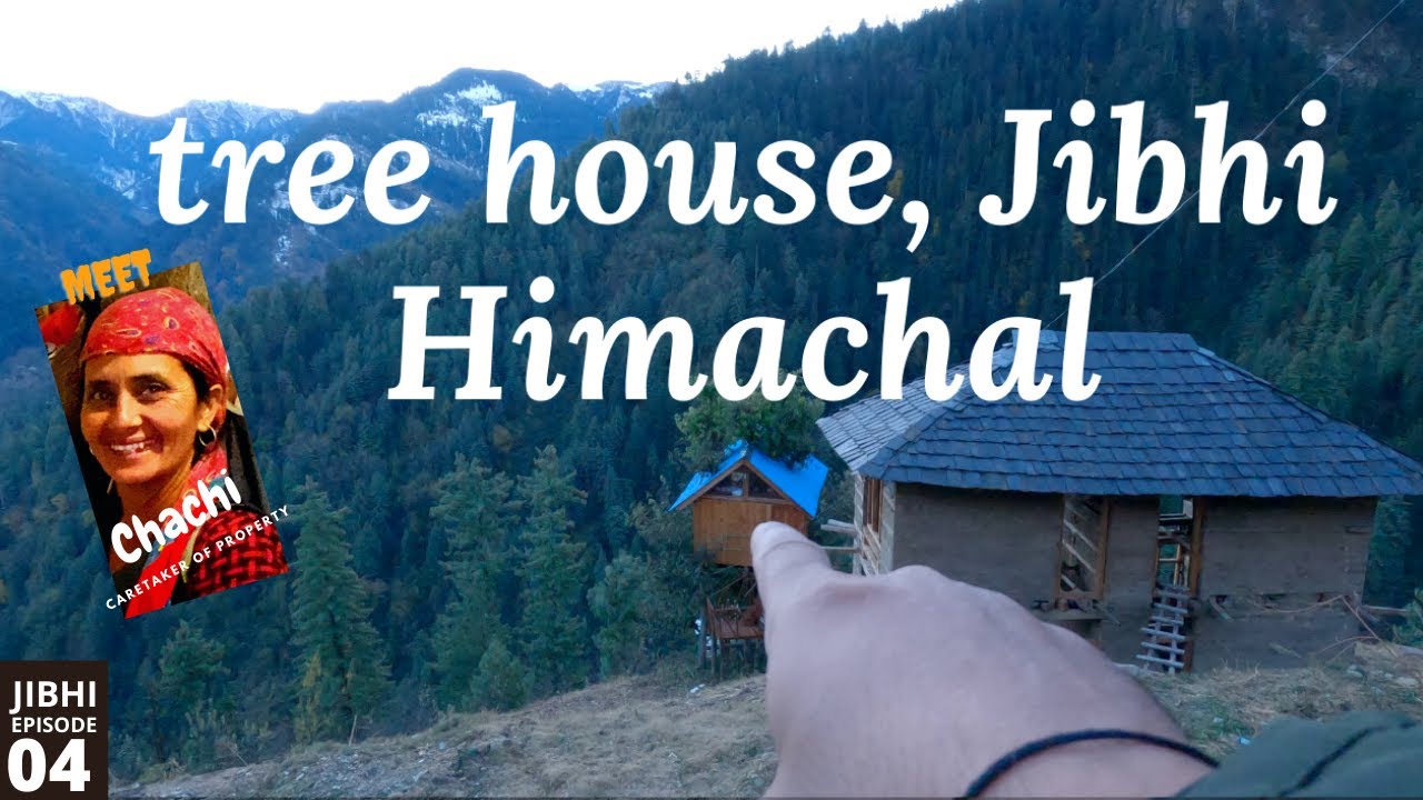 TREE HOUSE IN JIBHI TANDI HIMACHAL | INDIA | JIBHI TOUR PLAN | JIBHI ...