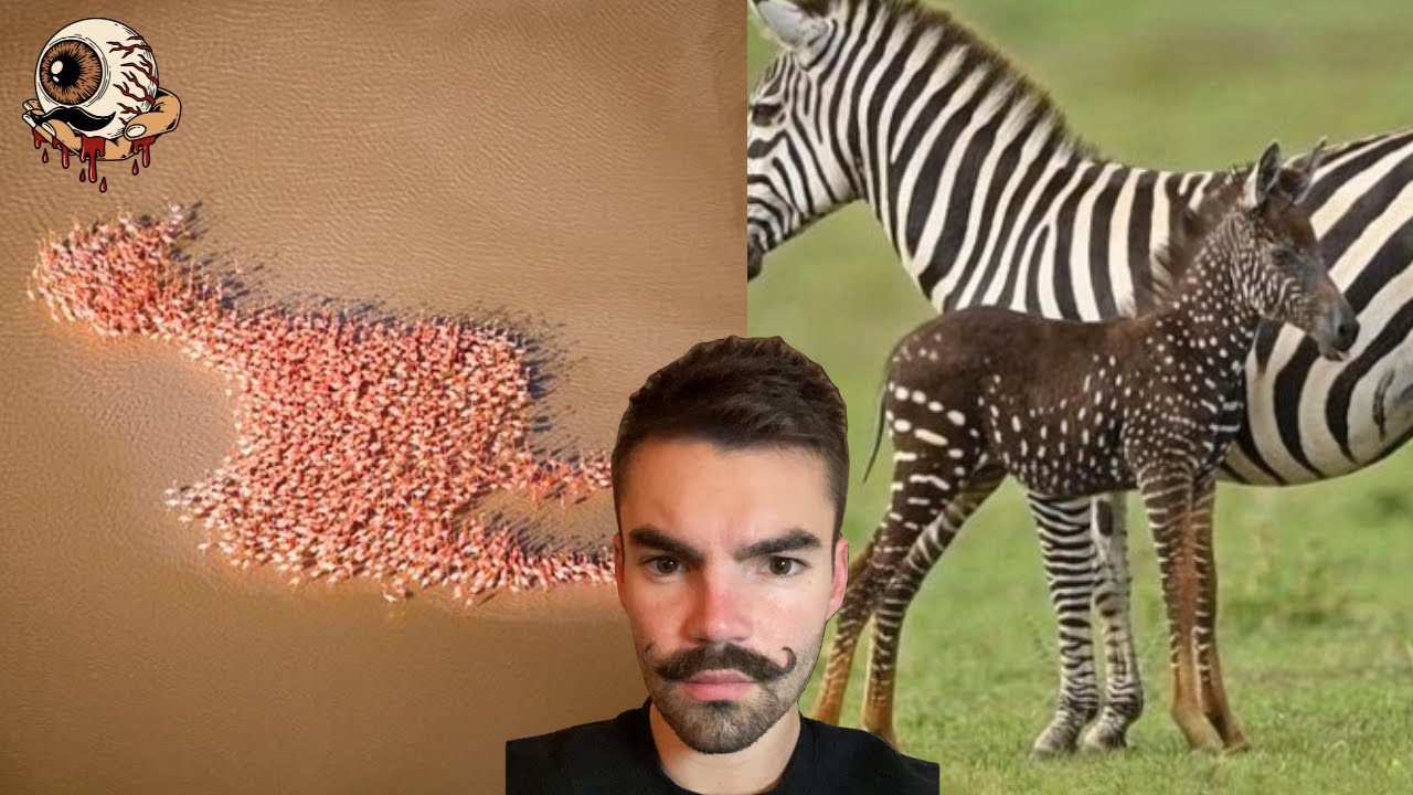 RAREST PHOTOGRAPHS EVER TAKEN - YouTube