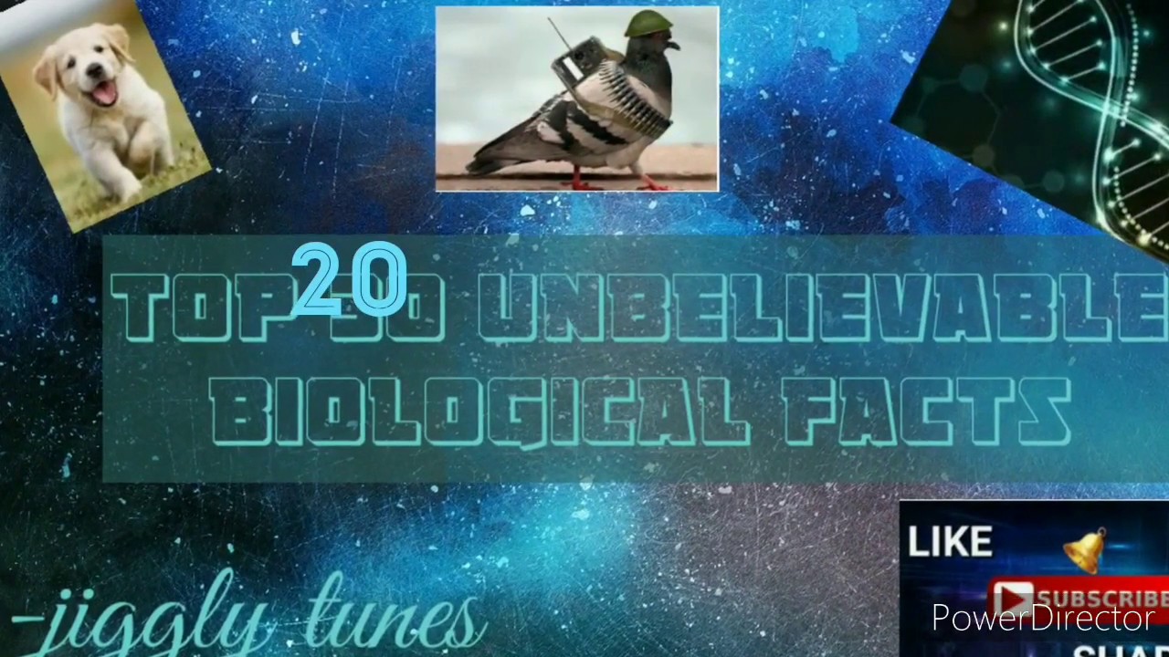 Top 20 unbelievable biological facts - YouTube