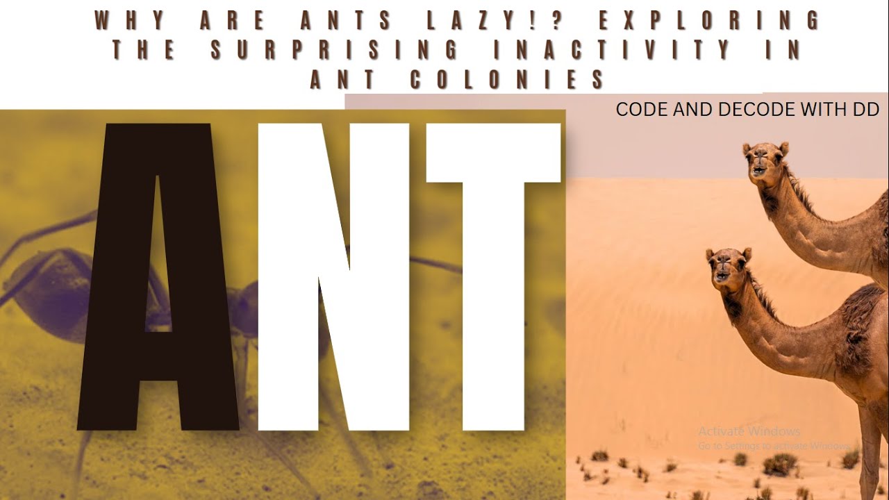 Why are Ants Lazy!? Exploring the Surprising Inactivity in Ant Colonies ...