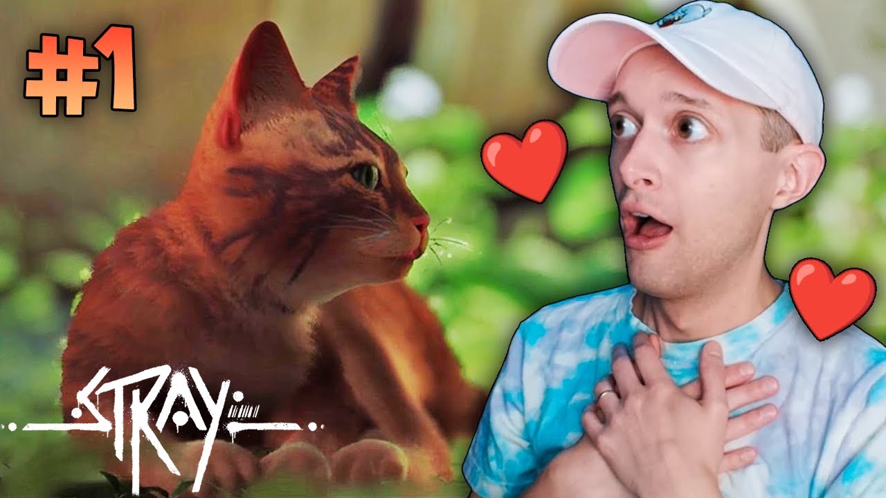 PSPSPSPSPS 🤌🐈 - Stray - Part 1 - YouTube
