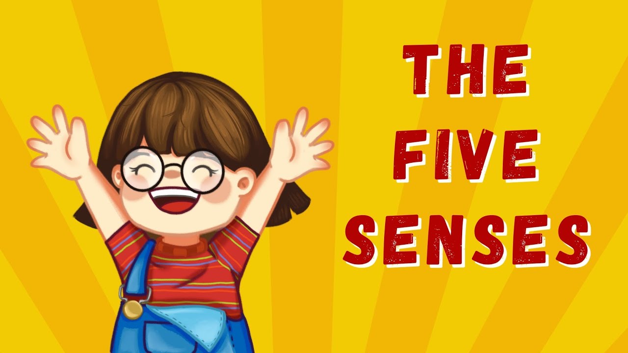 The Five Senses | Educational Videos For Kids | Five senses for kids by ...