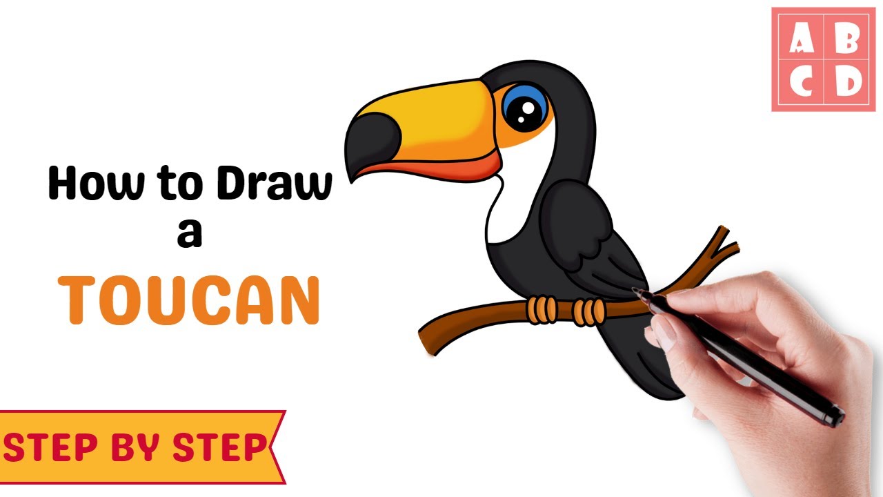How To Draw Toucan Bird Easy Anybodycandraw With Sata Youtube
