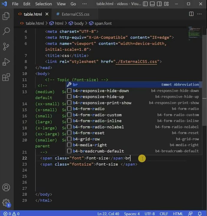 How To Set Font Size Html5 Css Webdesign Webdevelopment Frontenddeveloper Shorts Viral 