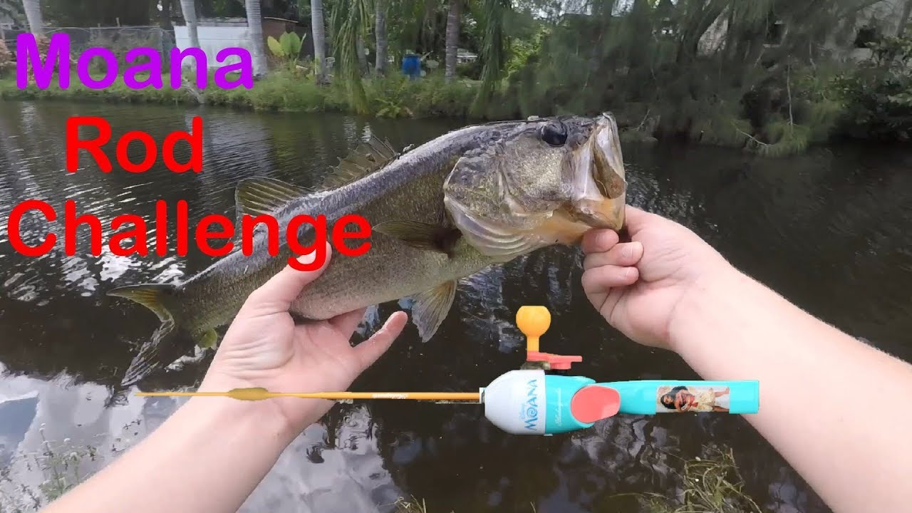 Catching bass with a Moana fishing rod! - YouTube