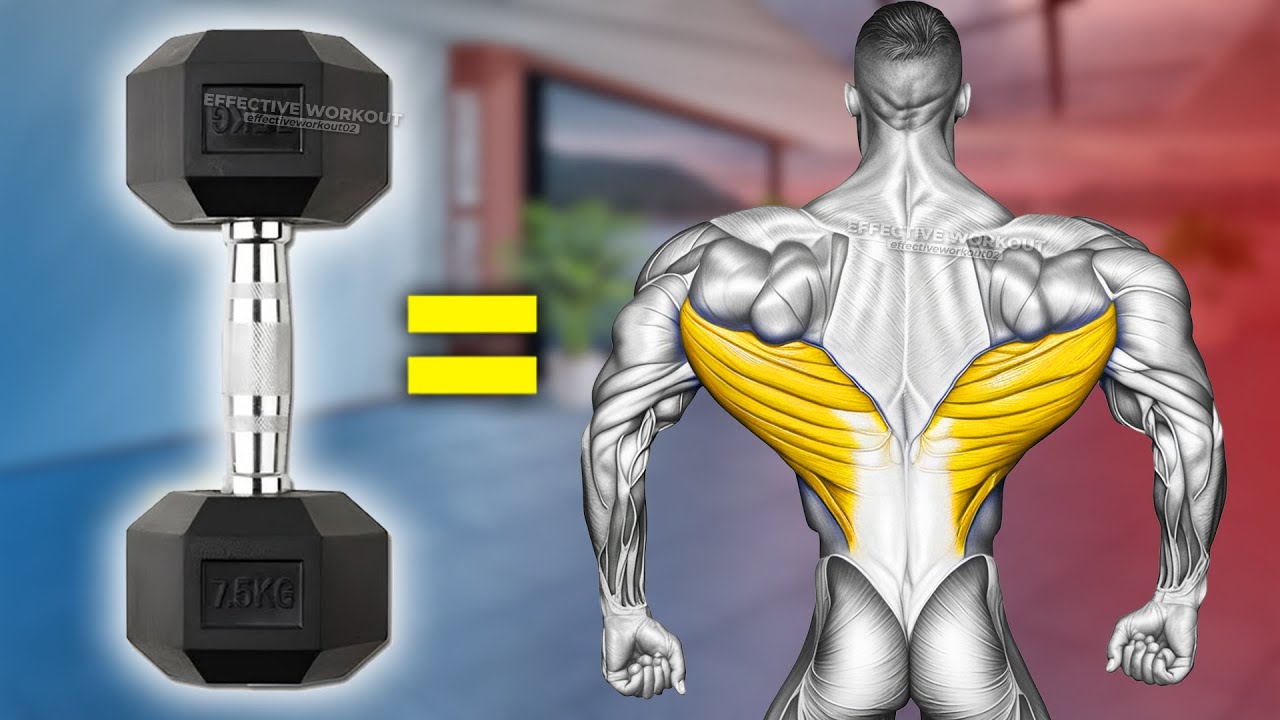 Build Lower Lats Fastest using Dumbbell Only (5 Effective Exercise ...