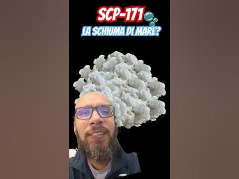 SCP-171 Ecco COS'È quella SCHIUMA che si trova a MARE! 🫧 - YouTube