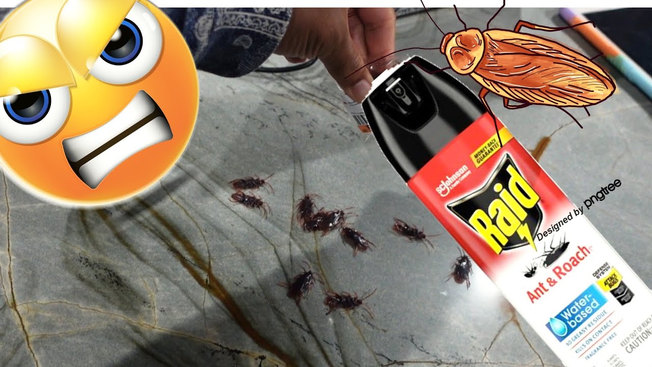 We have to get our HOME! fumigated due to a ROACH!! infestation (PRANK ...