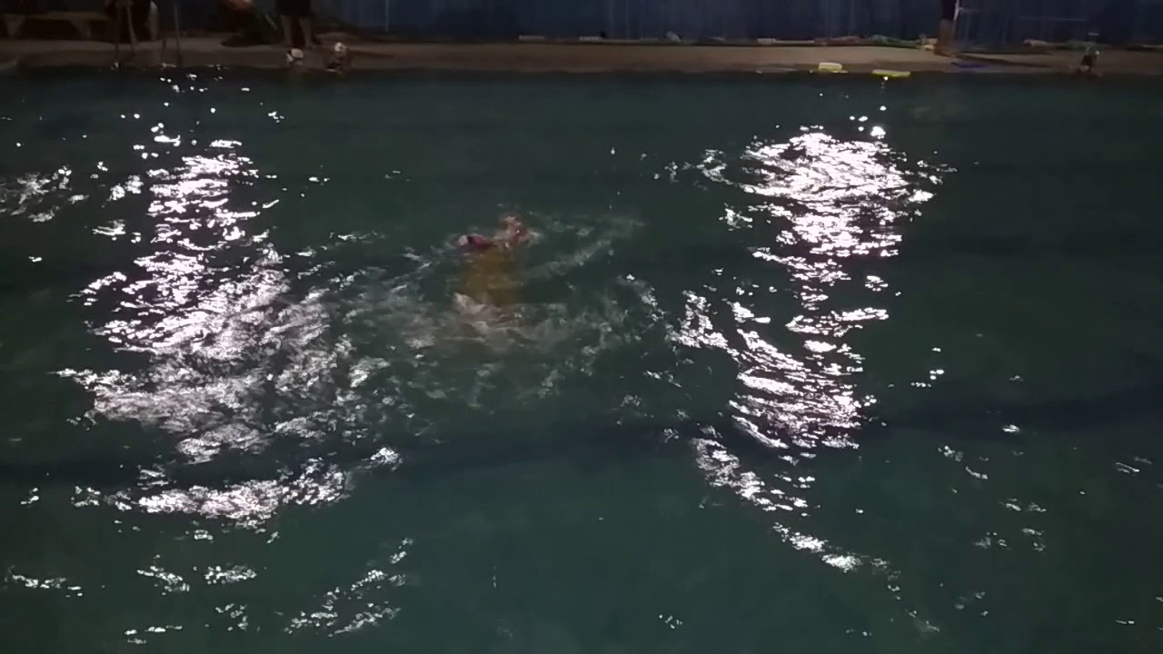 How to swimm in the swimming pool. - YouTube