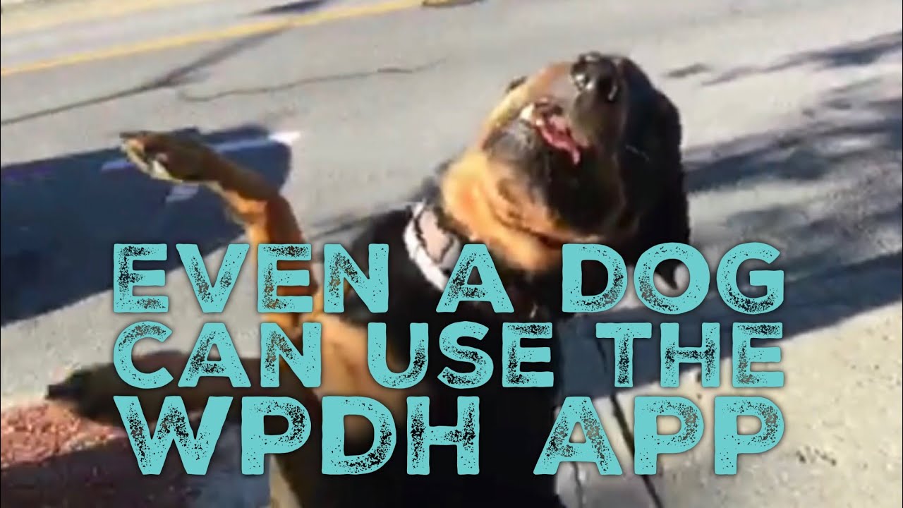 How to Use the WPDH Mobile App - YouTube