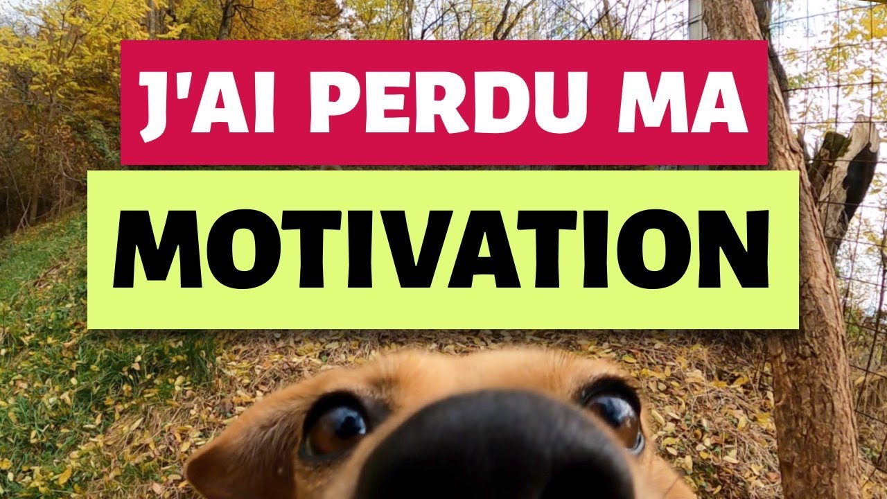 Survivre à une perte de motivation - YouTube