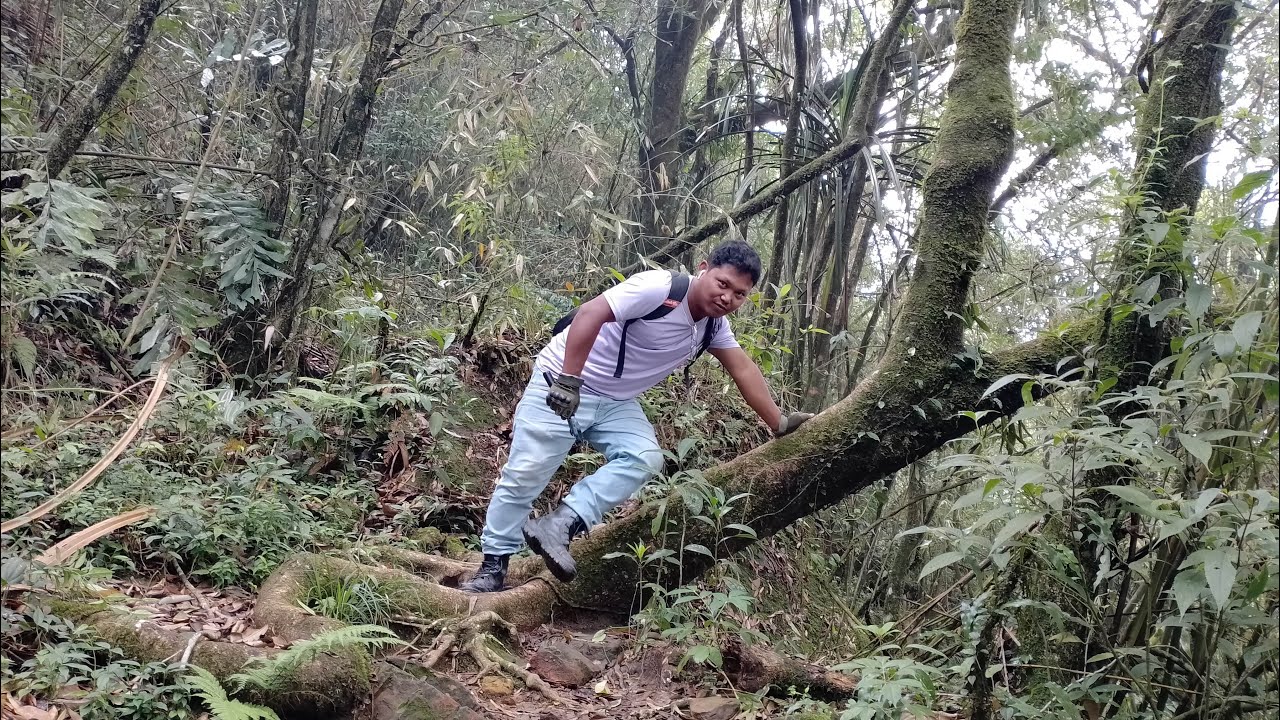 ADVENTURE ROUTE | Cave exit point |🚶‍♂️ MEGHALAYA RIDE - YouTube