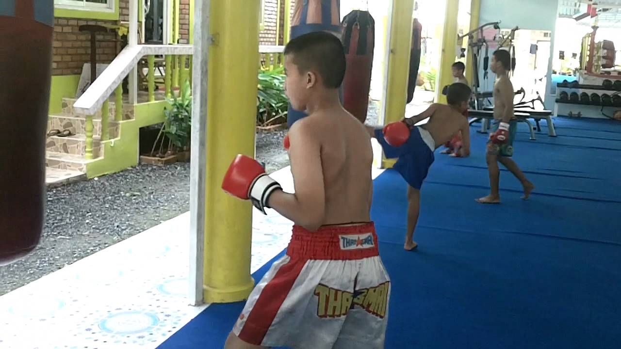Lion Muay Thai Gym, Phuket, Thailand - Young Lions - YouTube
